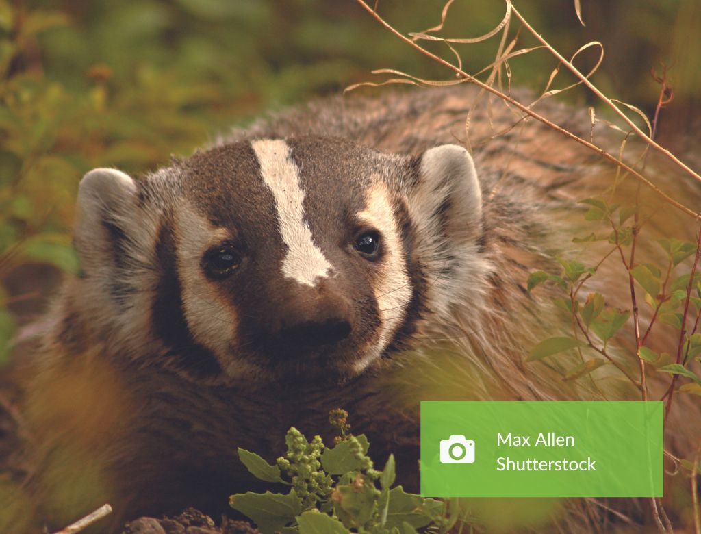 Shared Legacy – Manitoba Nature, Culture & Economy